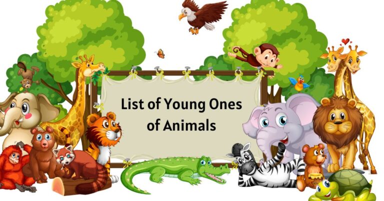 List of Young Ones of Animals | Animals and Their Babies